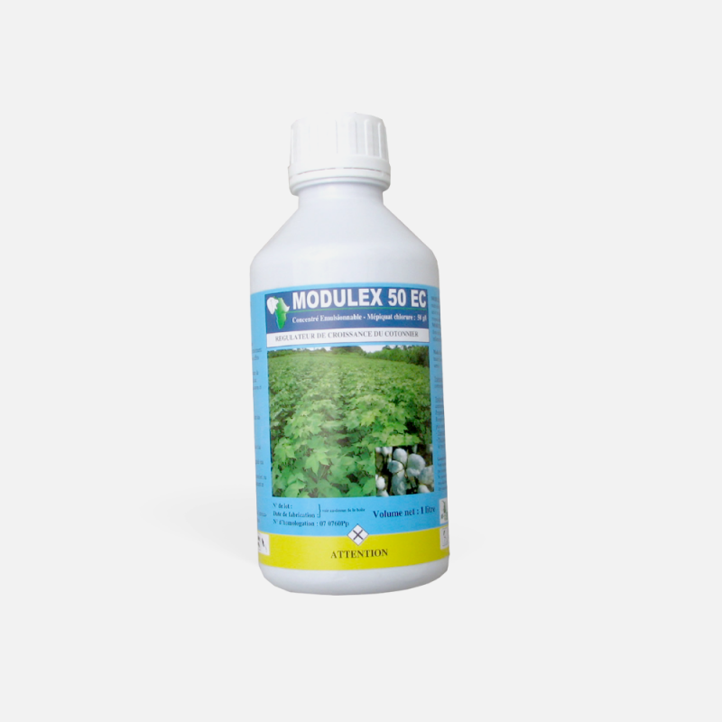 Coton - Afchem-Sofaco